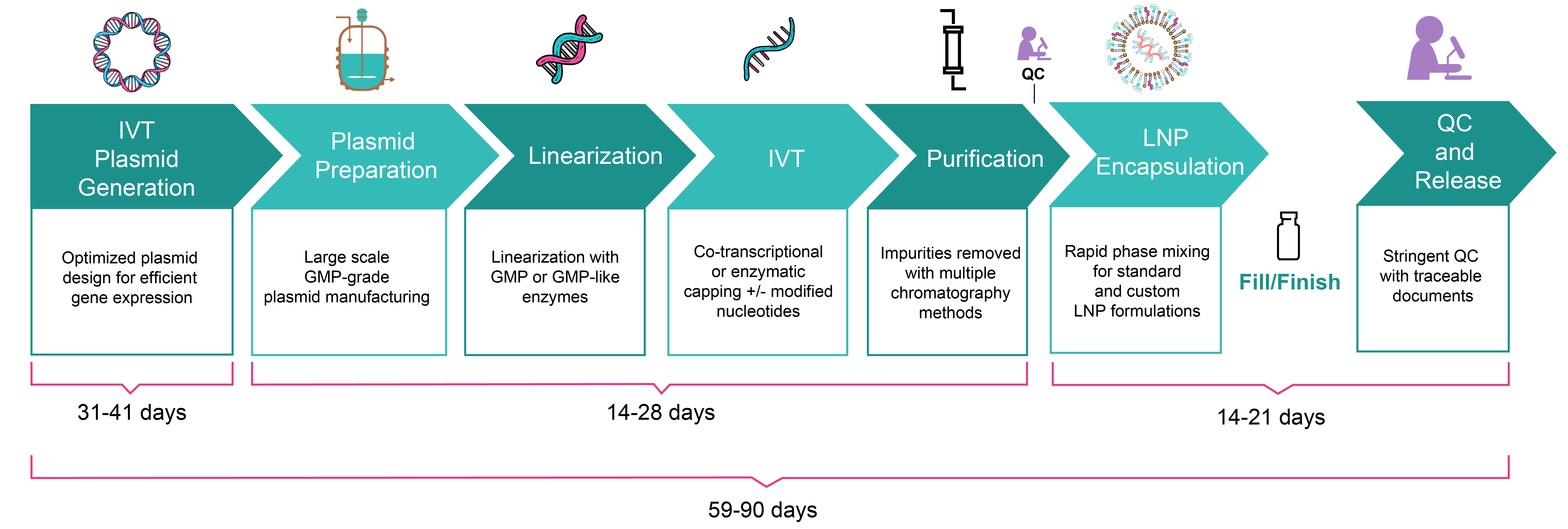 GMP 제조 LNP-mRNA 제조 | 벡터빌더